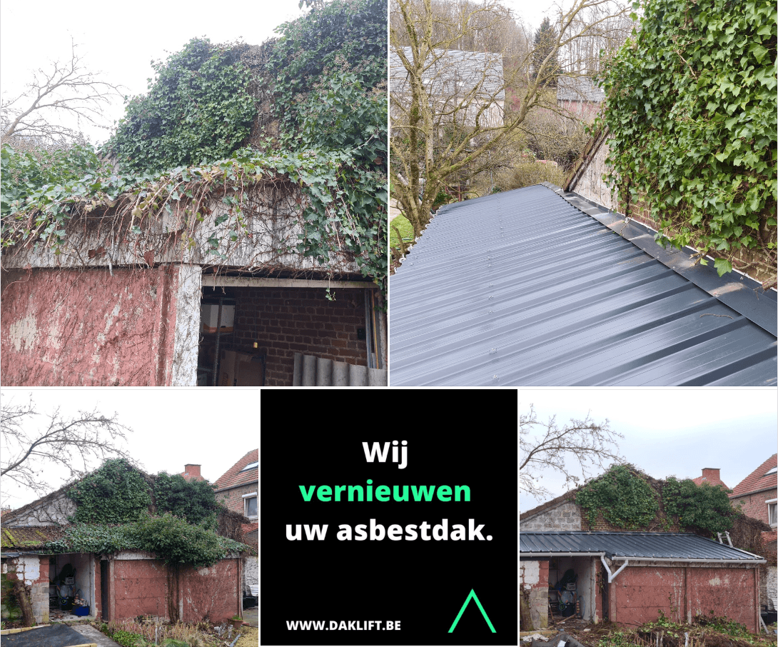Wat te doen bij extreme begroeiing op je asbestdak? – DakLift